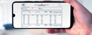 Extrato de pagamento INSS: veja como emitir!